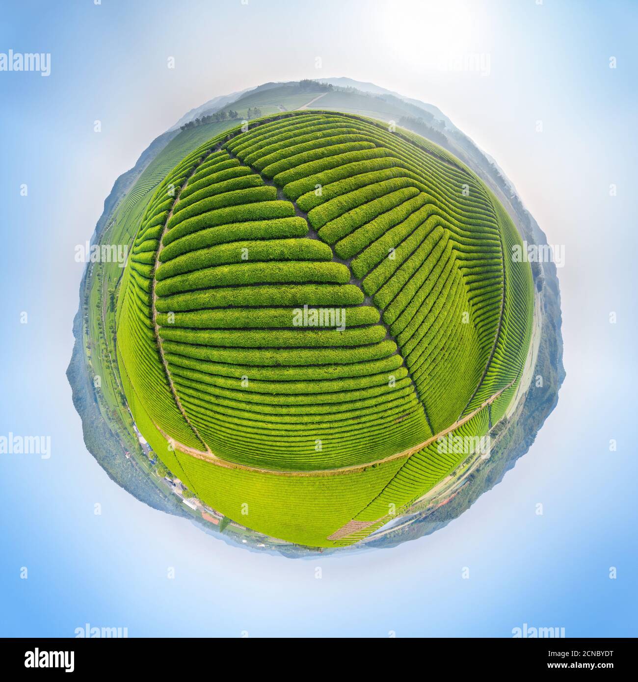 Spring farm scene hi-res stock photography and images - Alamy