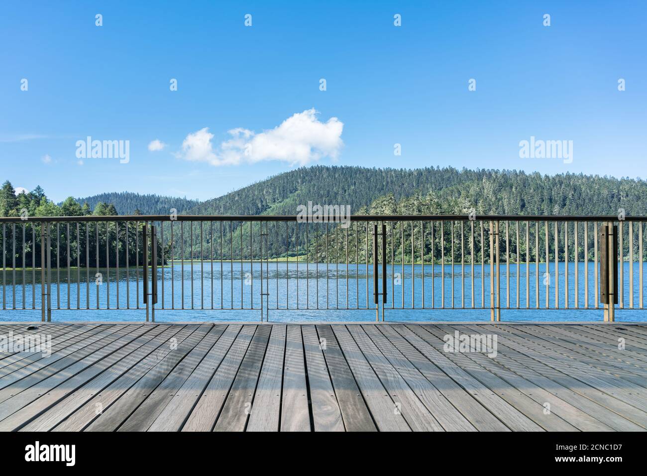 Empty park scene hi-res stock photography and images - Alamy
