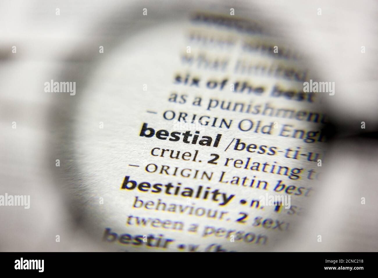 The word or phrase Bestial in a dictionary Stock Photo - Alamy