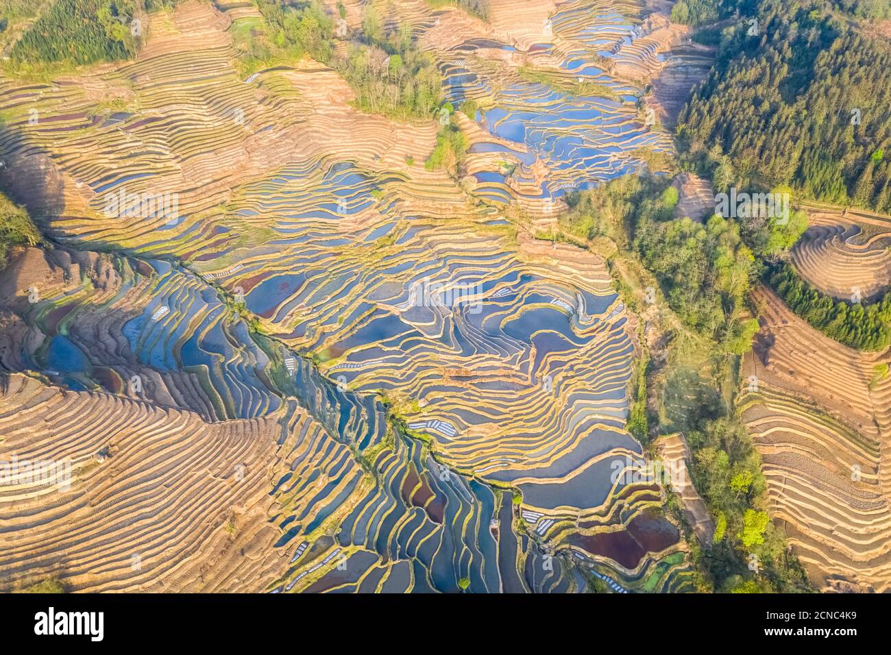 beautiful land texture of terraced fields Stock Photo - Alamy