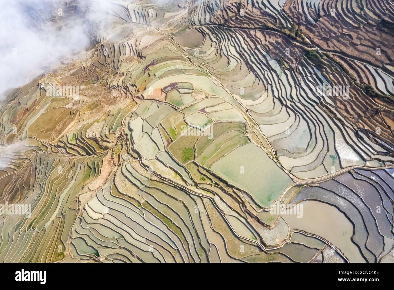 terraced fields background Stock Photo - Alamy