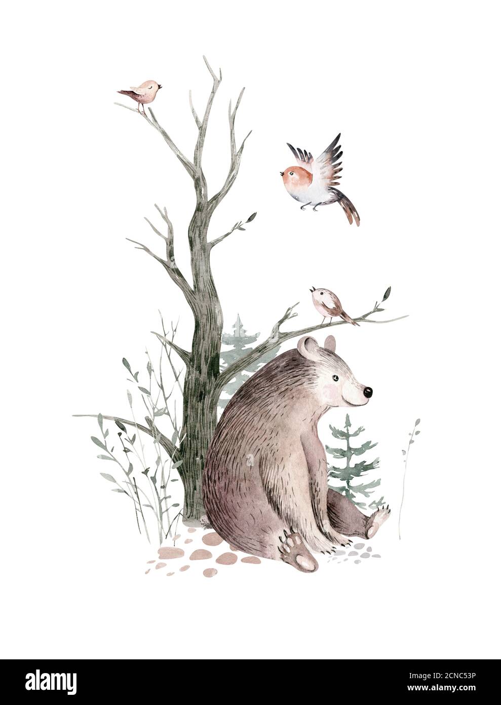 Woodland watercolor cute animals baby bear. Scandinavian bear orest ...