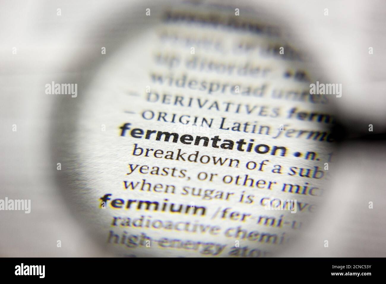 The word or phrase Fermentation in a dictionary Stock Photo - Alamy