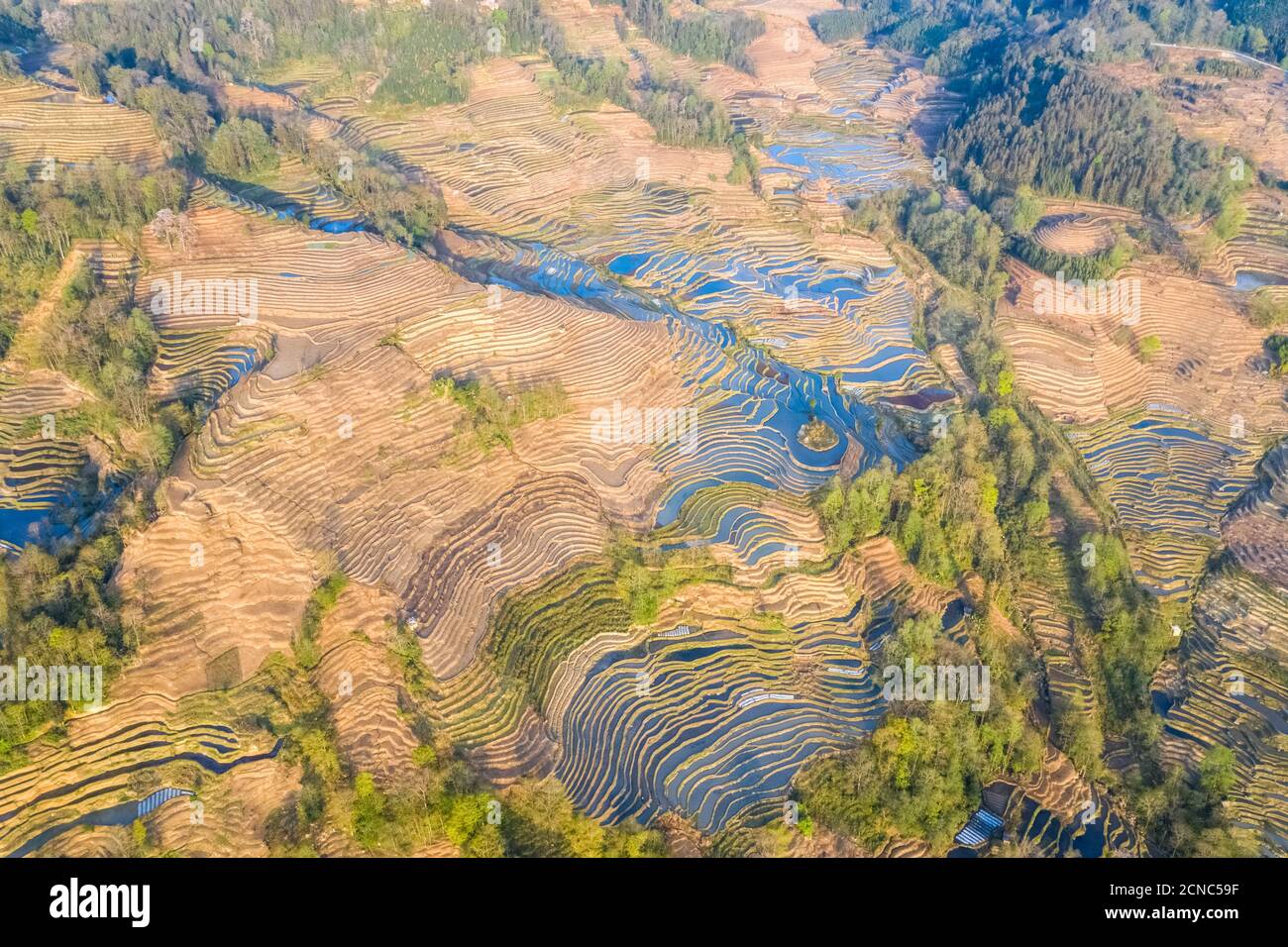 terraced fields landscape Stock Photo - Alamy