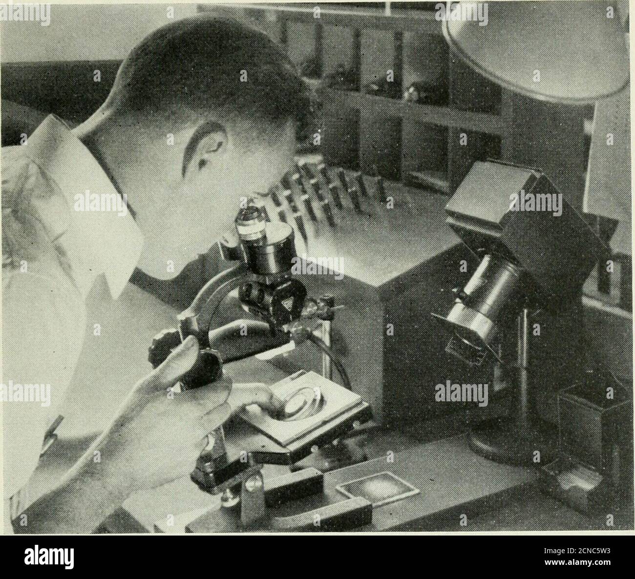 Copper Sludge High Resolution Stock Photography and Images - Alamy