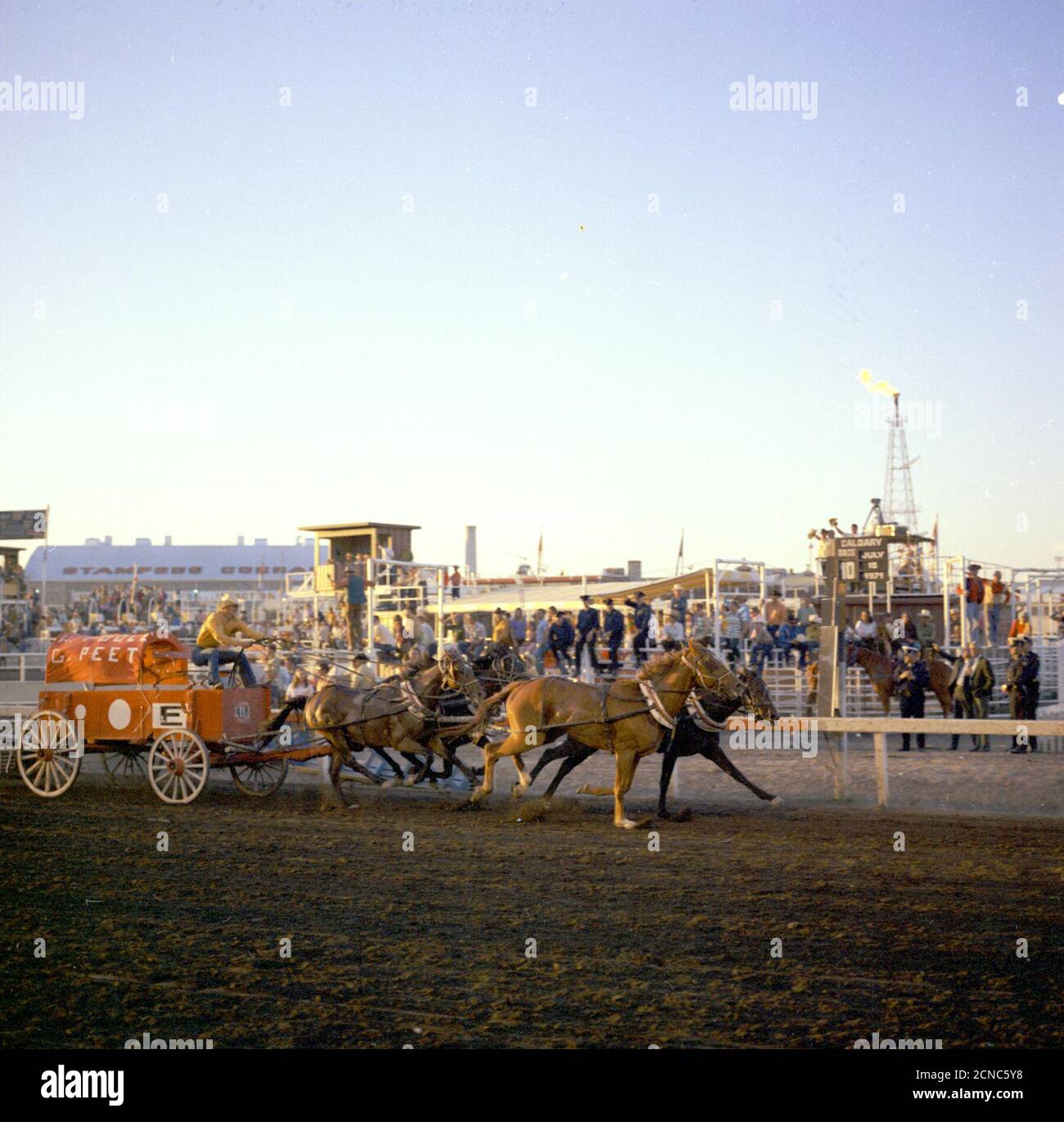 Calgary Stampede Chuckwagon High Resolution Stock Photography and ...