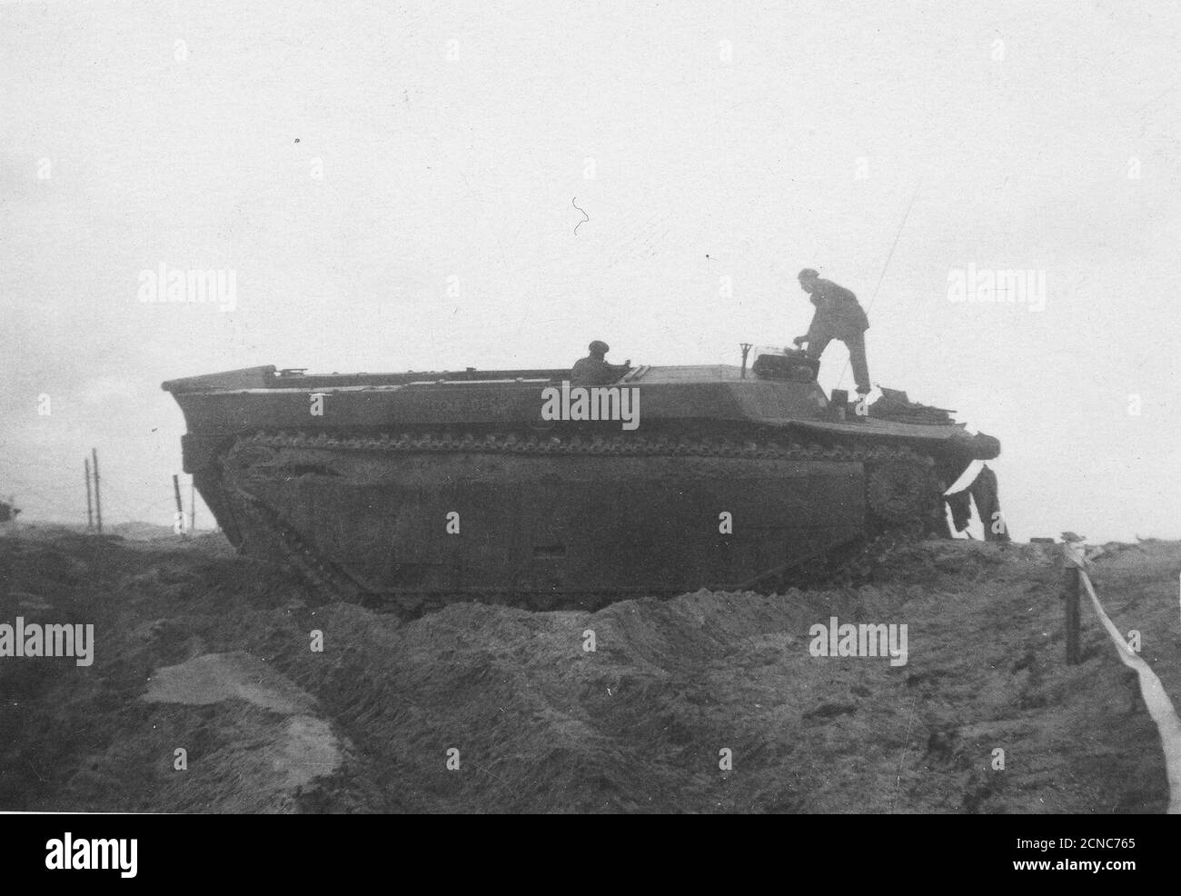 American alligator portrait image hi-res stock photography and images ...
