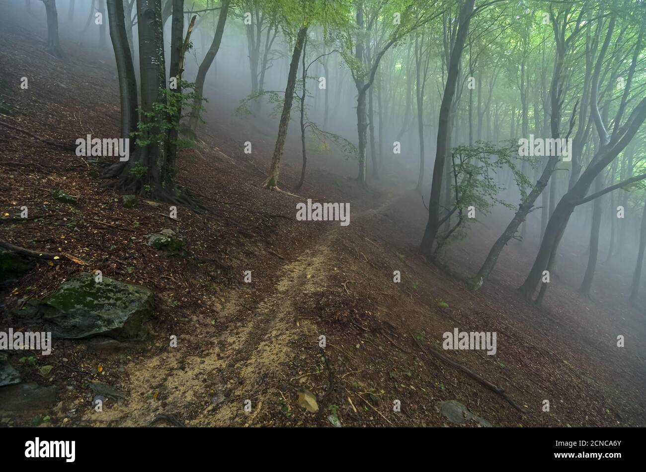 Fog trail hi-res stock photography and images - Alamy