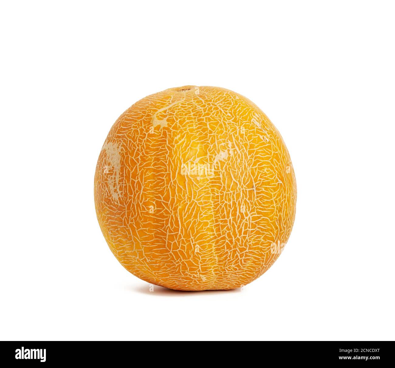 round yellow ripe melon isolated on white background Stock Photo - Alamy