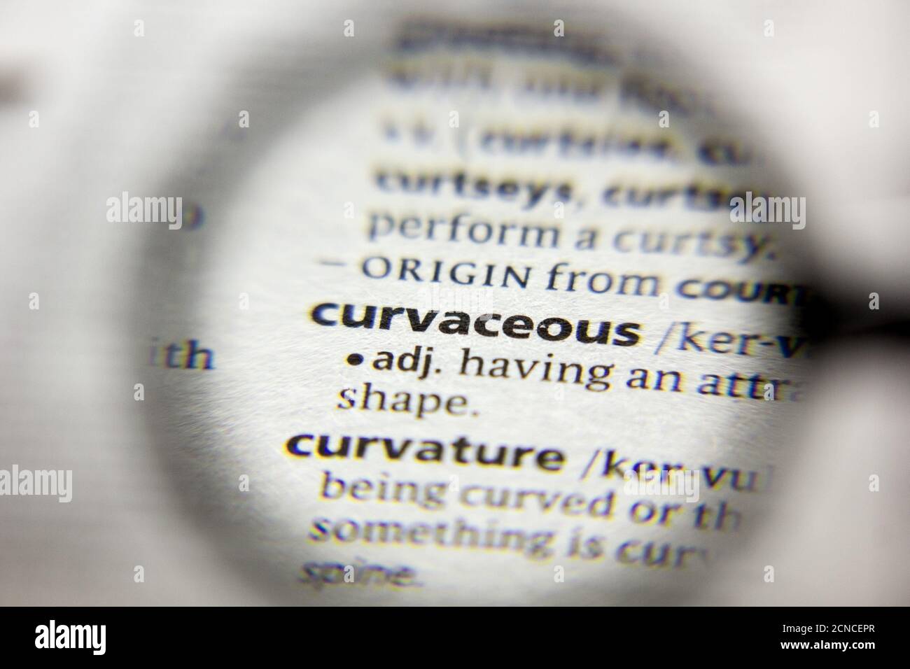 The word or phrase Curvaceous in a dictionary Stock Photo - Alamy