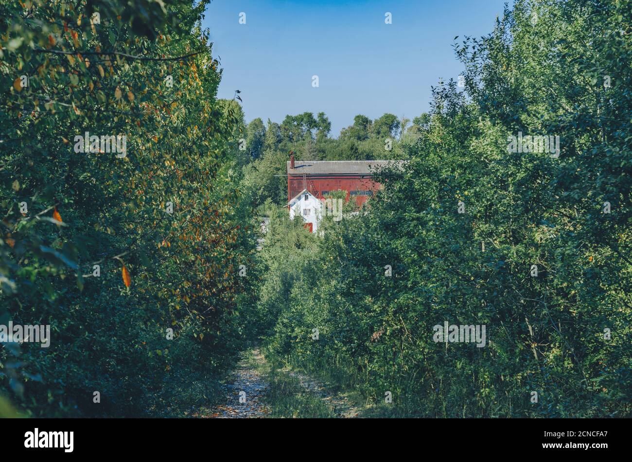 Old house, warehouse in an overgrown old garden Stock Photo - Alamy