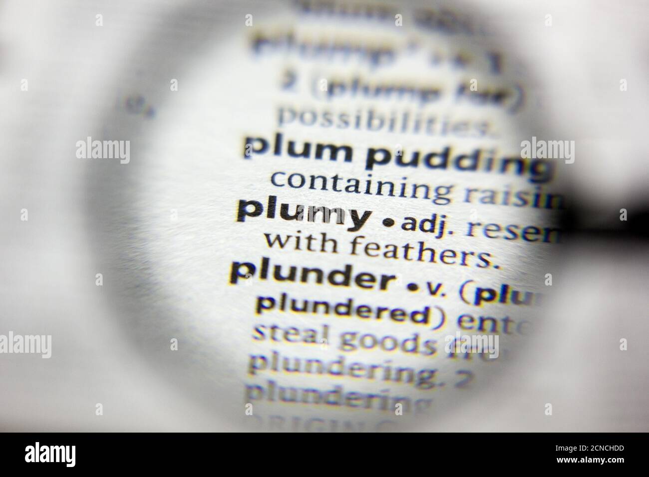 Plumy hi-res stock photography and images - Alamy
