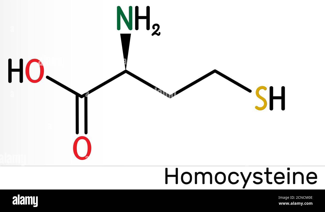 Homocysteine biomarker molecule. It is a sulfur-containing non ...