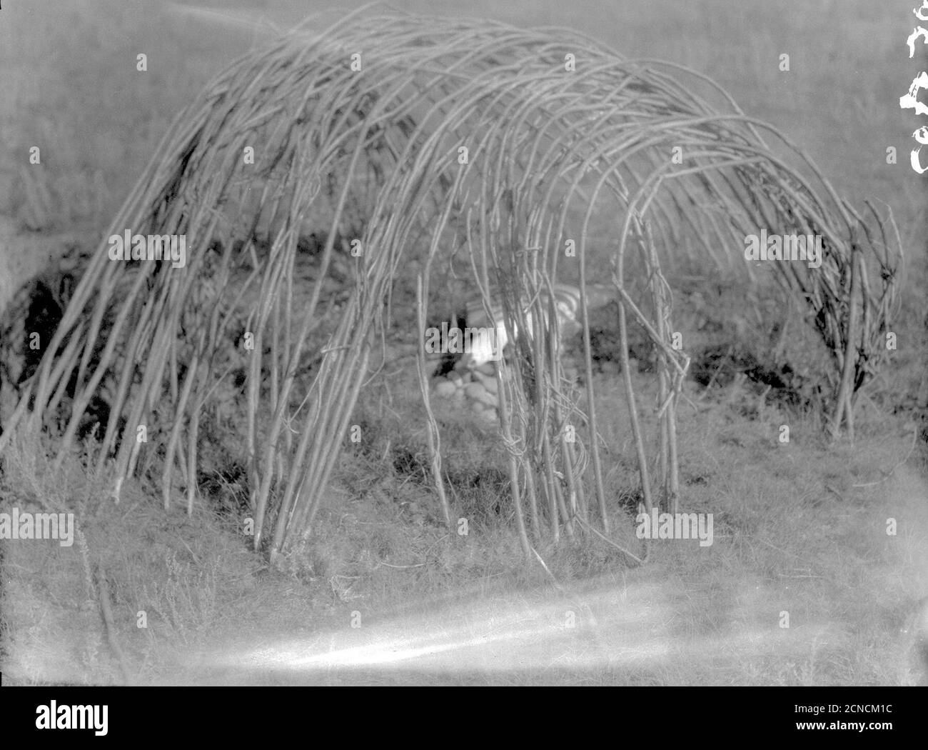 Sweat lodge frame hi-res stock photography and images - Alamy