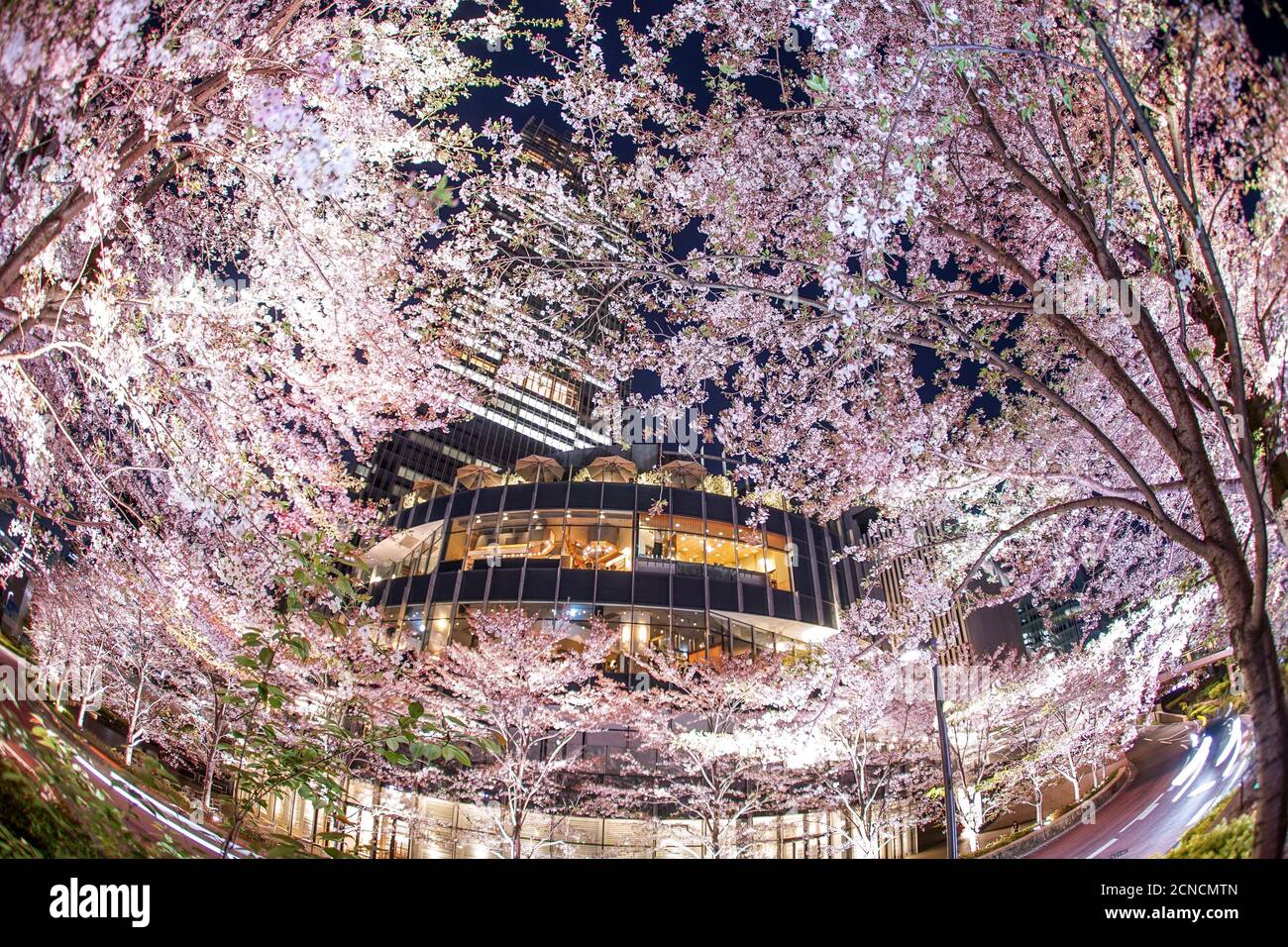 Tokyo Buildings Up Close High Resolution Stock Photography and Images ...