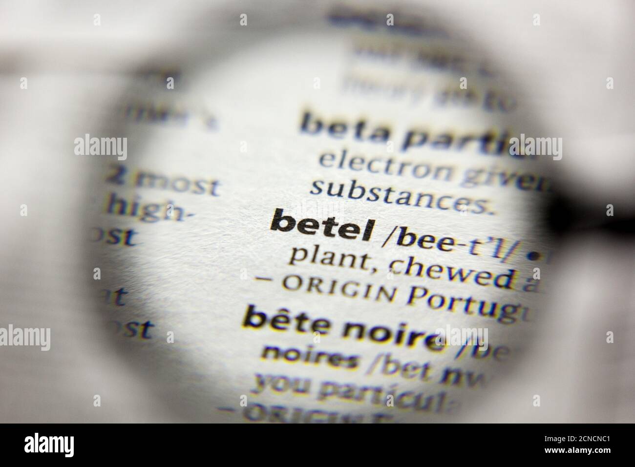 The word or phrase Betel in a dictionary Stock Photo - Alamy