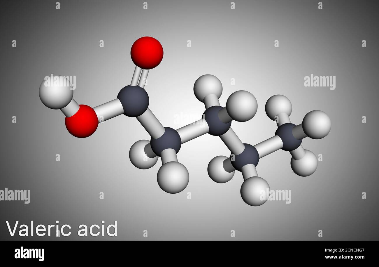 Valeric acid, pentanoic acid or valerate molecule. Molecular model. 3D ...