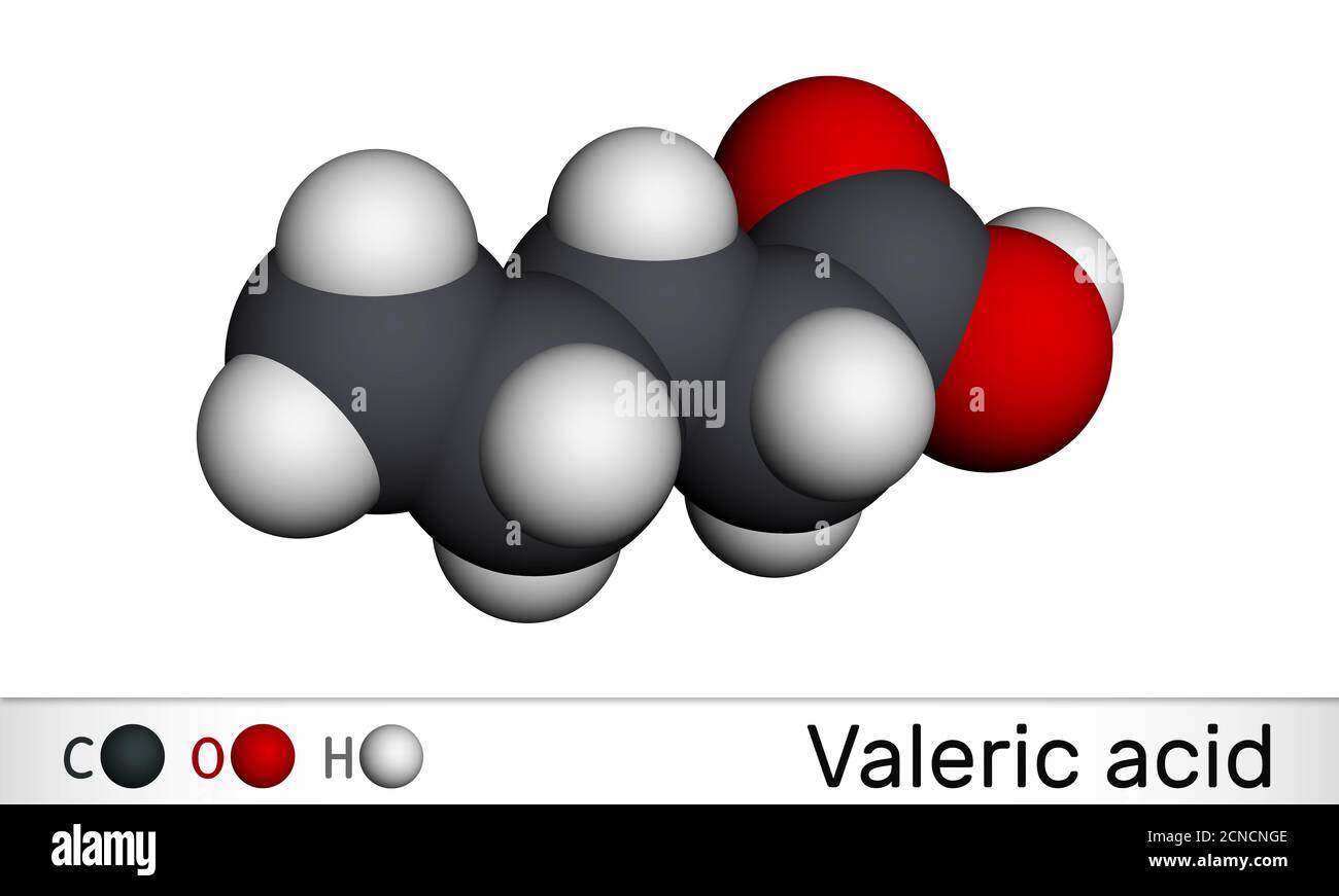 Valeric acid, pentanoic acid or valerate molecule. Molecular model. 3D ...