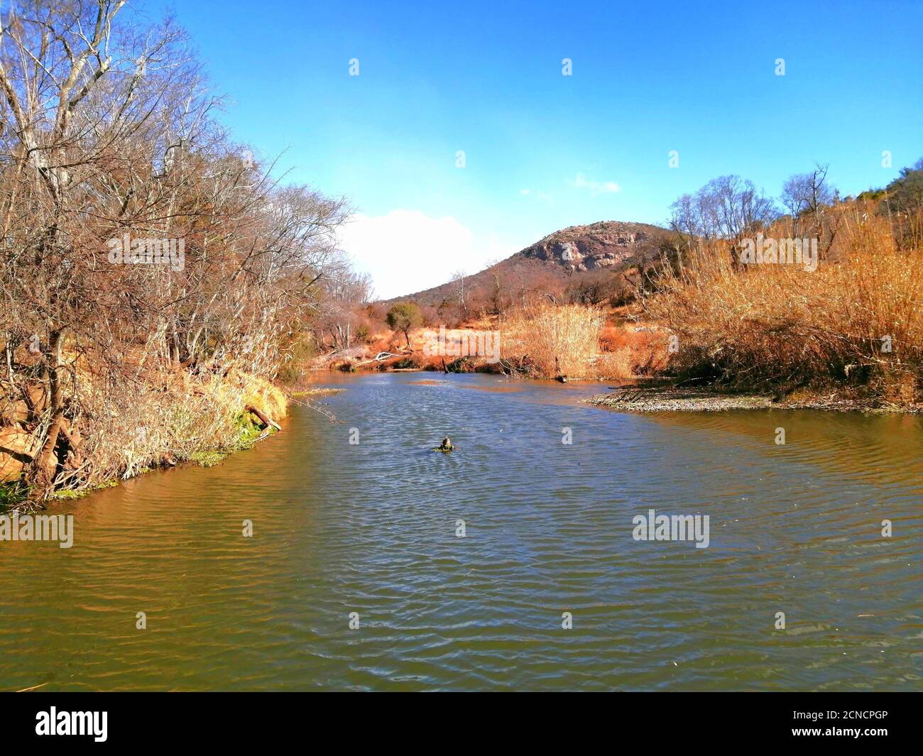 Lake beach view Stock Photo - Alamy