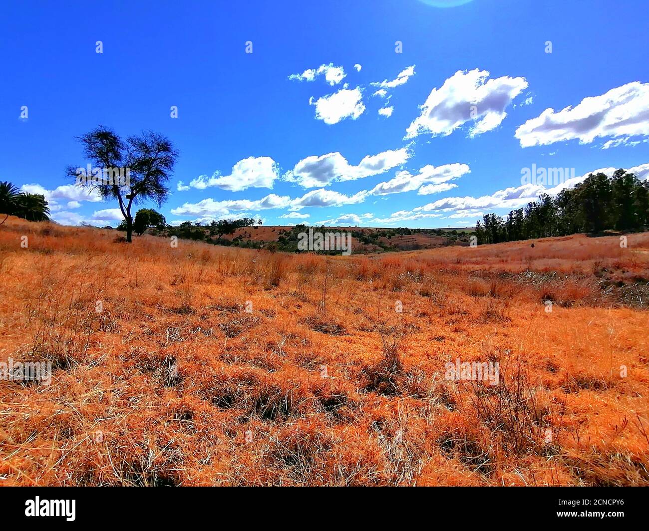 Lake beach view Stock Photo - Alamy