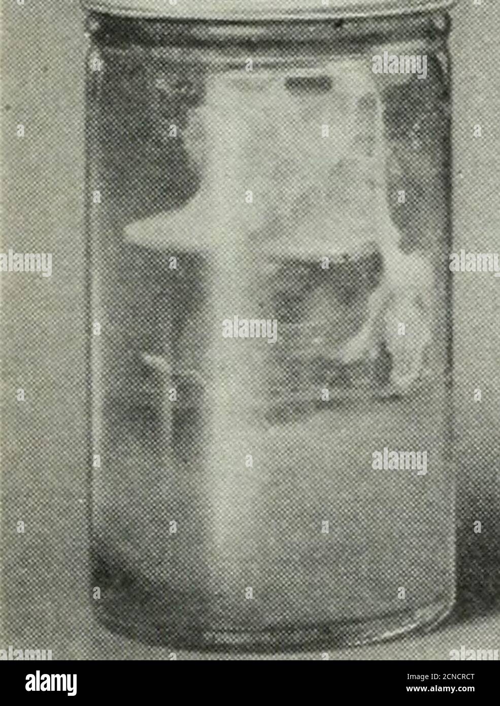 . The Bell System technical journal . Fig. 8—Assay of a polychlor ...