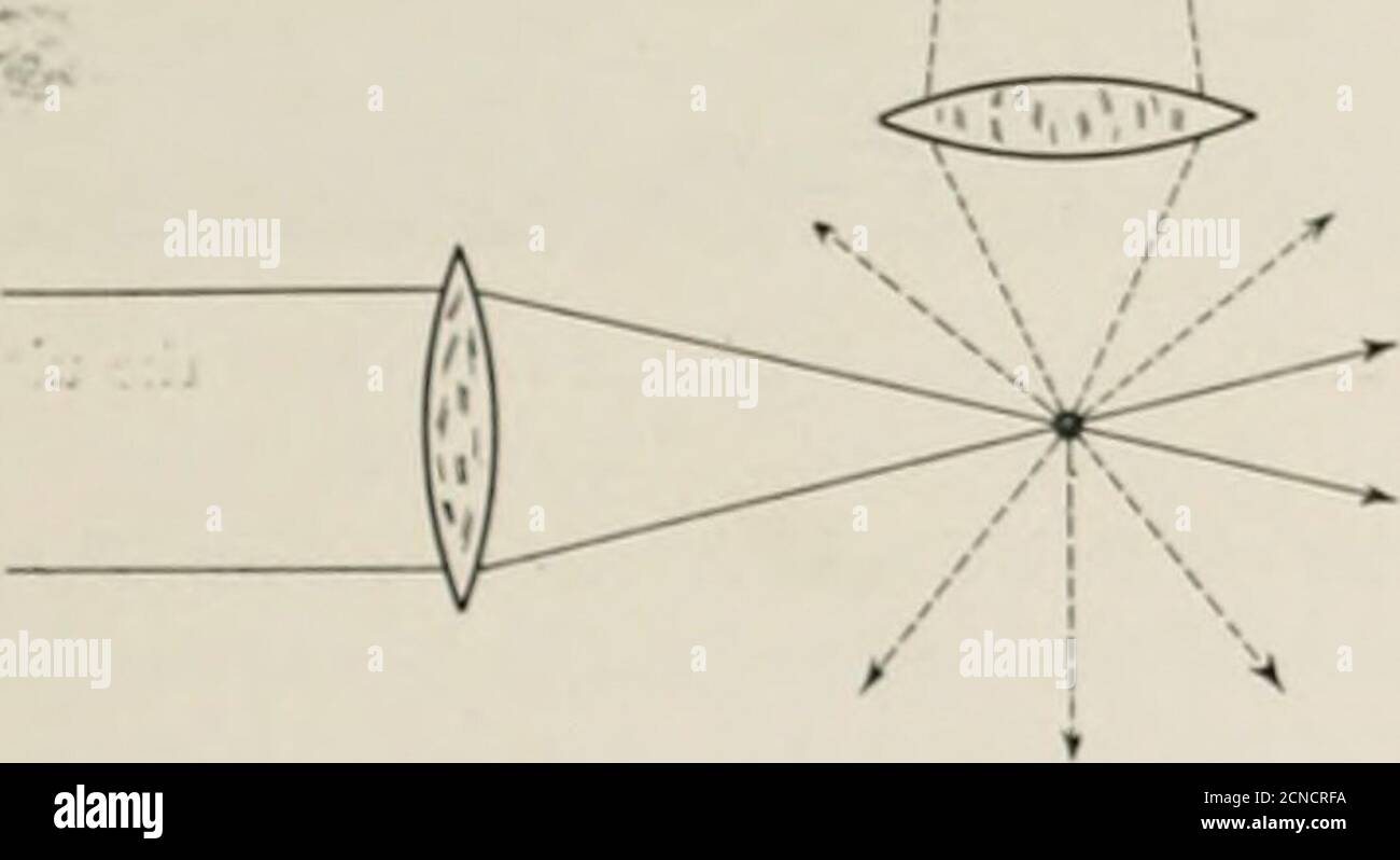 Microscope slide lamp hi-res stock photography and images - Alamy