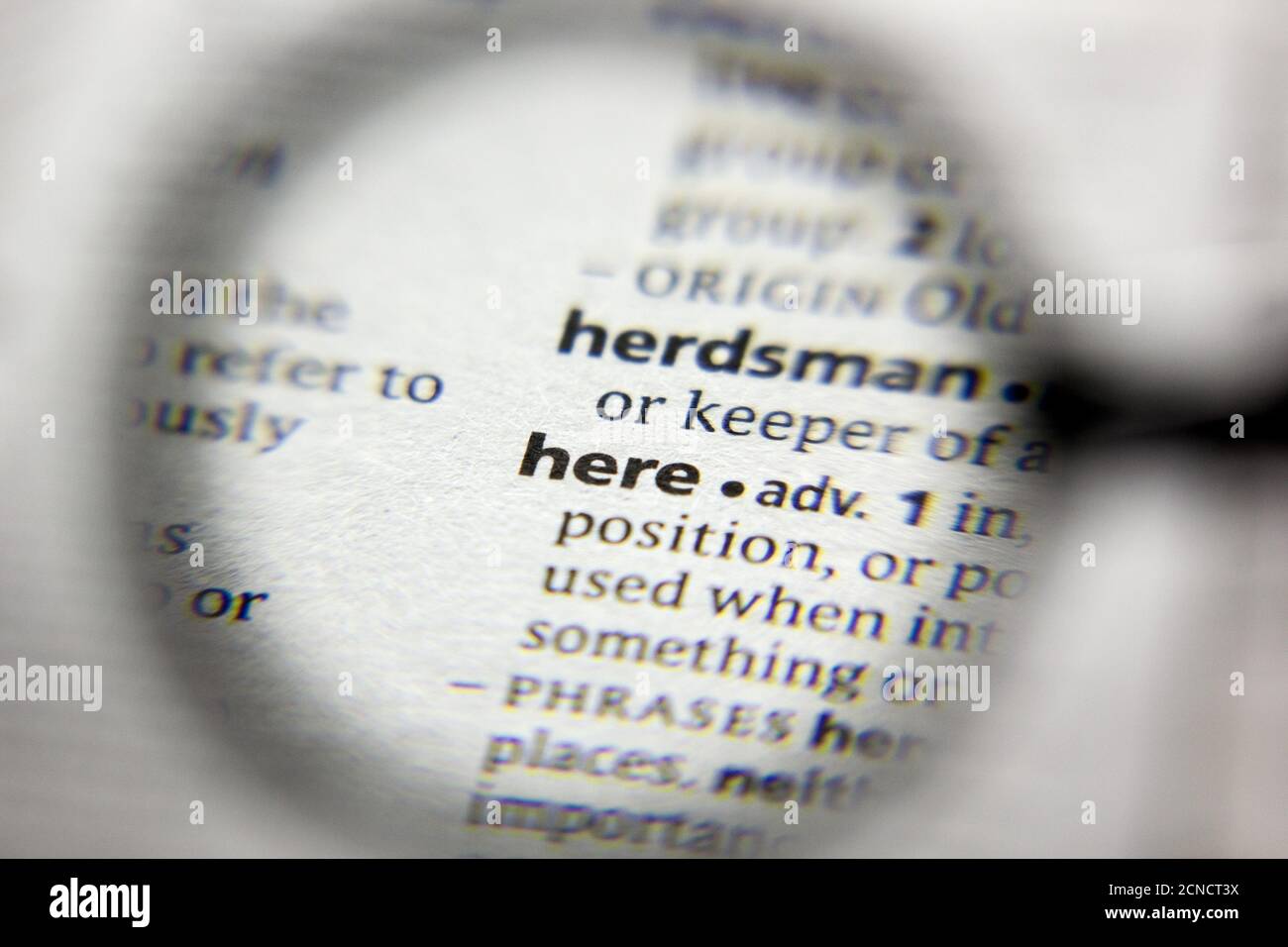 The word or phrase Here in a dictionary Stock Photo - Alamy