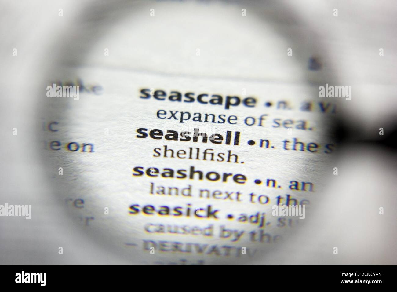 The word or phrase Seashell in a dictionary Stock Photo - Alamy