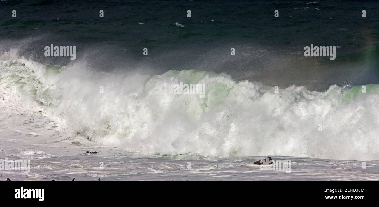 Waves, Coast at Hermanus in South Africa Stock Photo - Alamy