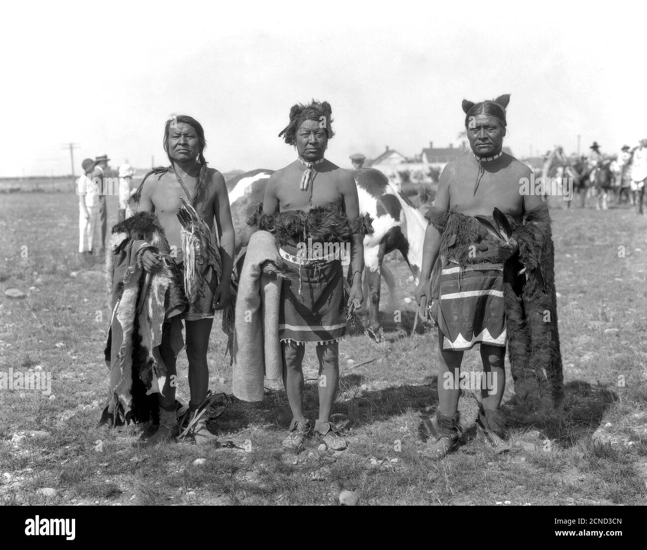 Kainai High Resolution Stock Photography and Images - Alamy