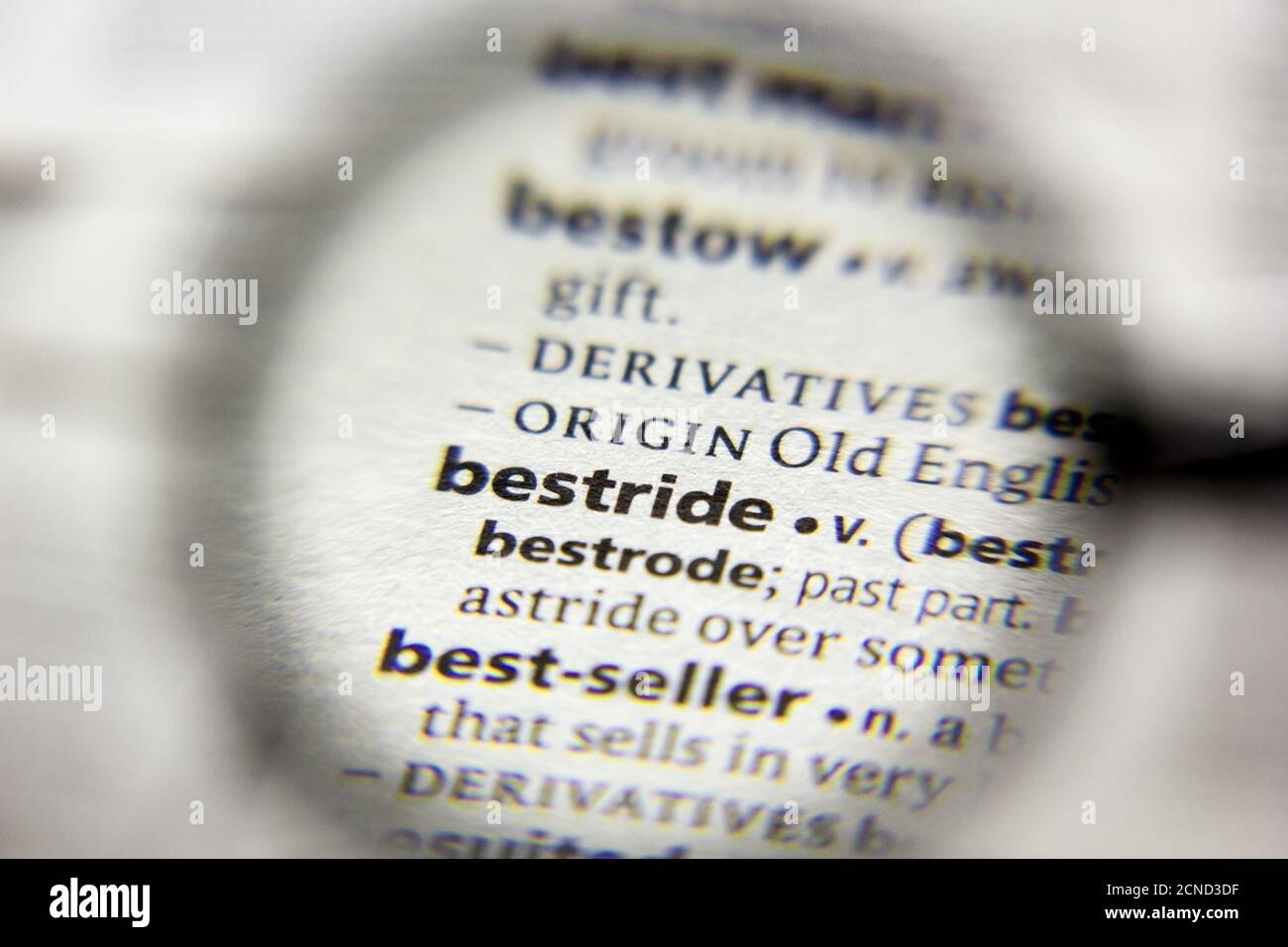 The word or phrase Bestride in a dictionary Stock Photo - Alamy