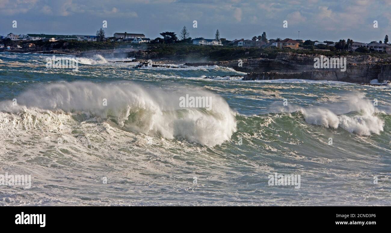 Waves, Coast at Hermanus in South Africa Stock Photo - Alamy