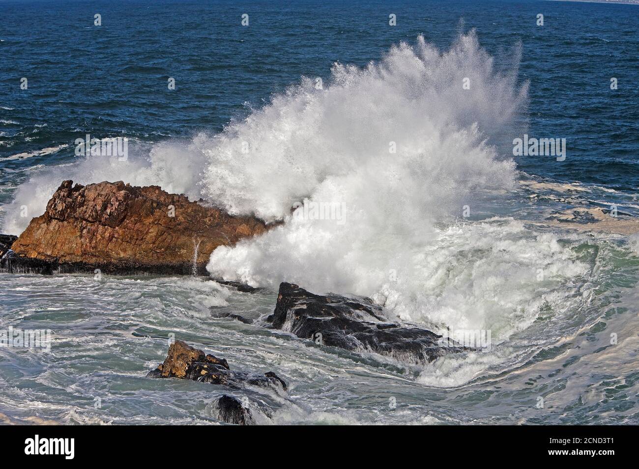Waves, Coast at Hermanus in South Africa Stock Photo - Alamy