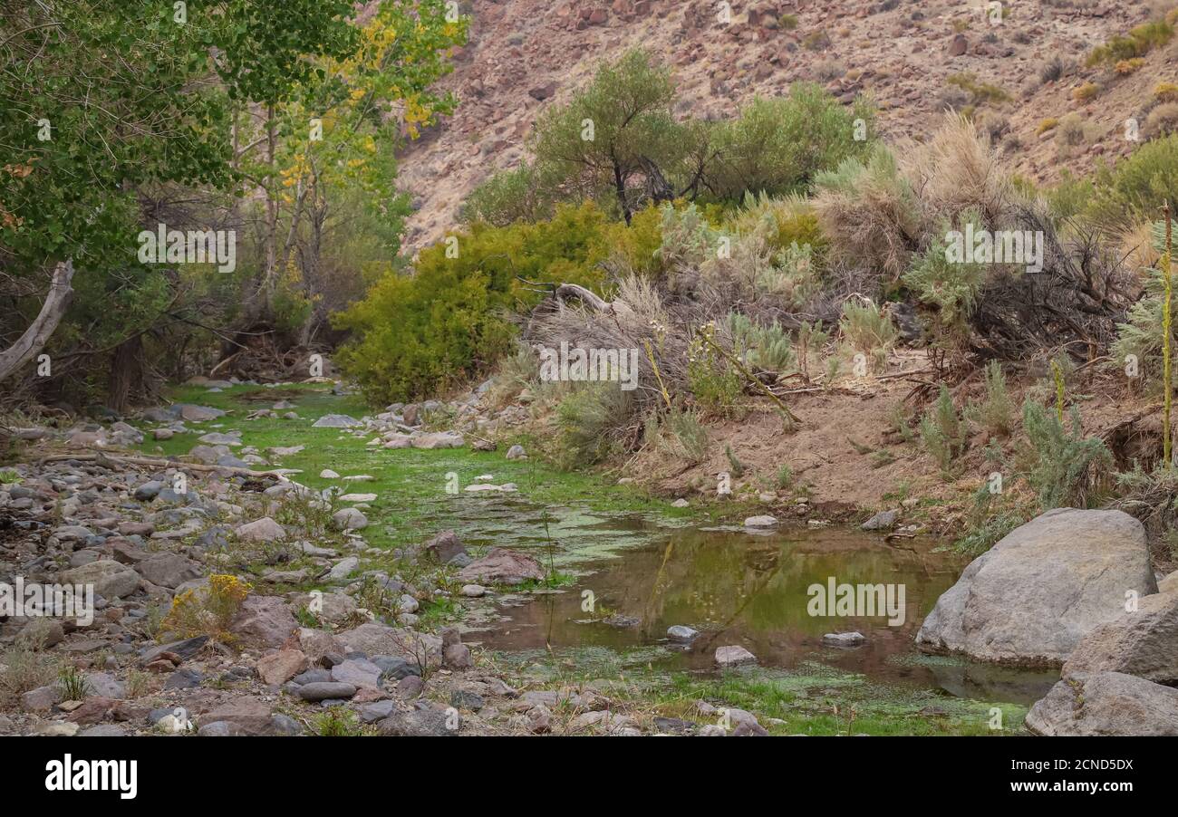 STOREY COUNTY, NEVADA, UNITED STATES - Sep 16, 2020: Long Valley Creek ...