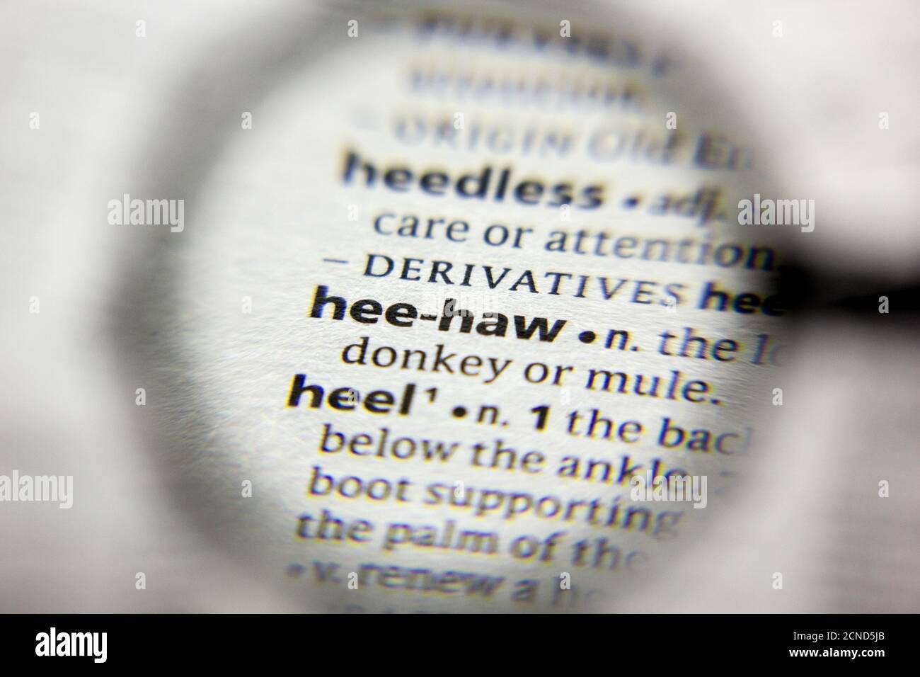 The word or phrase Hee-haw in a dictionary Stock Photo - Alamy