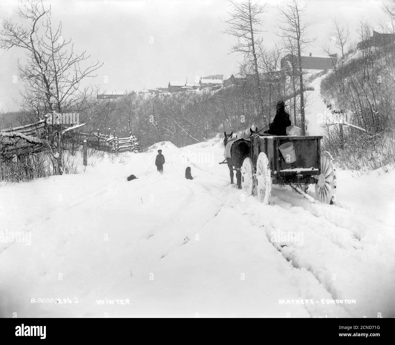 Winter in Edmonton, Alberta Stock Photo - Alamy