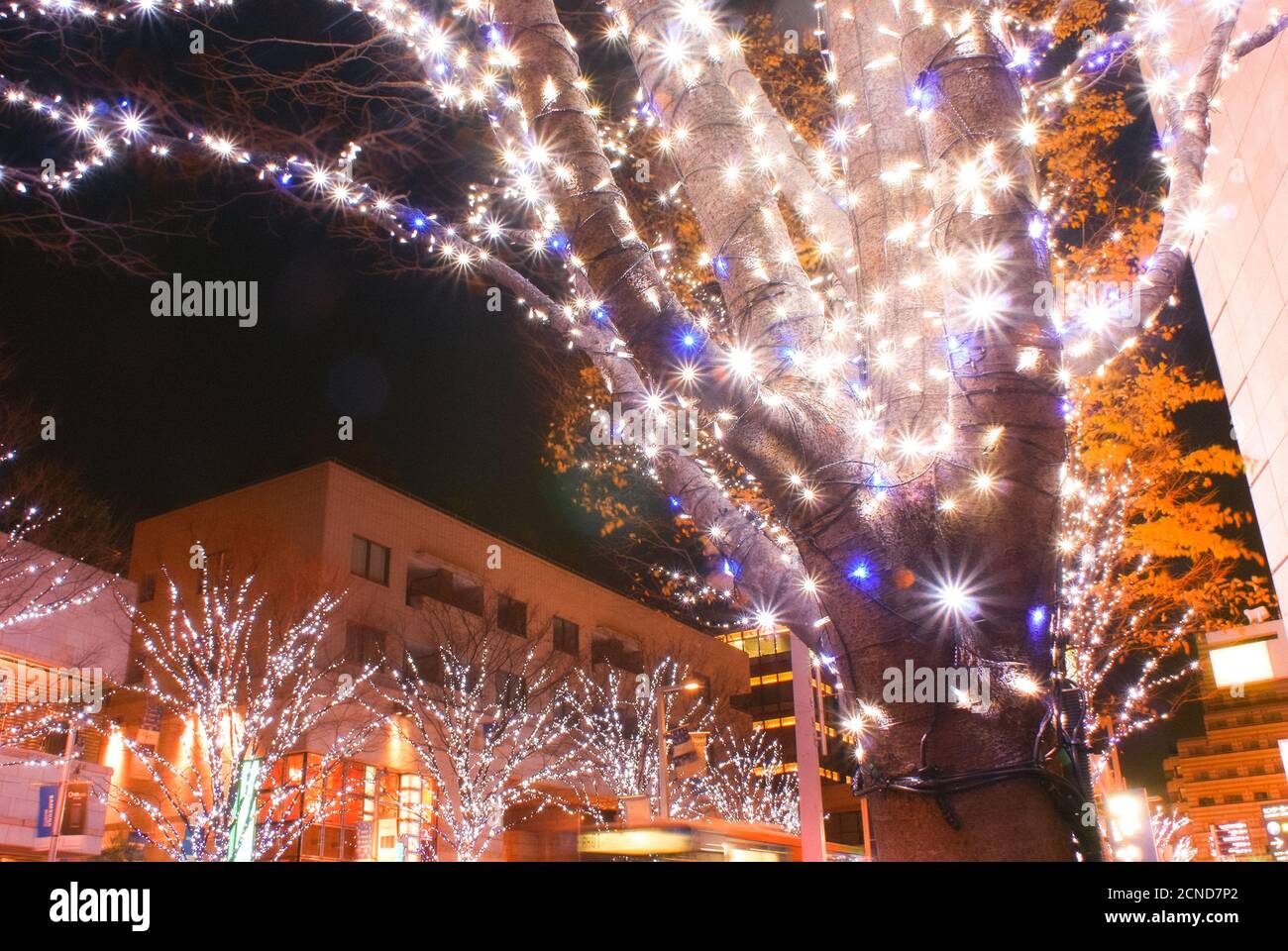 Christmas illuminations and the night view of the image Stock Photo - Alamy