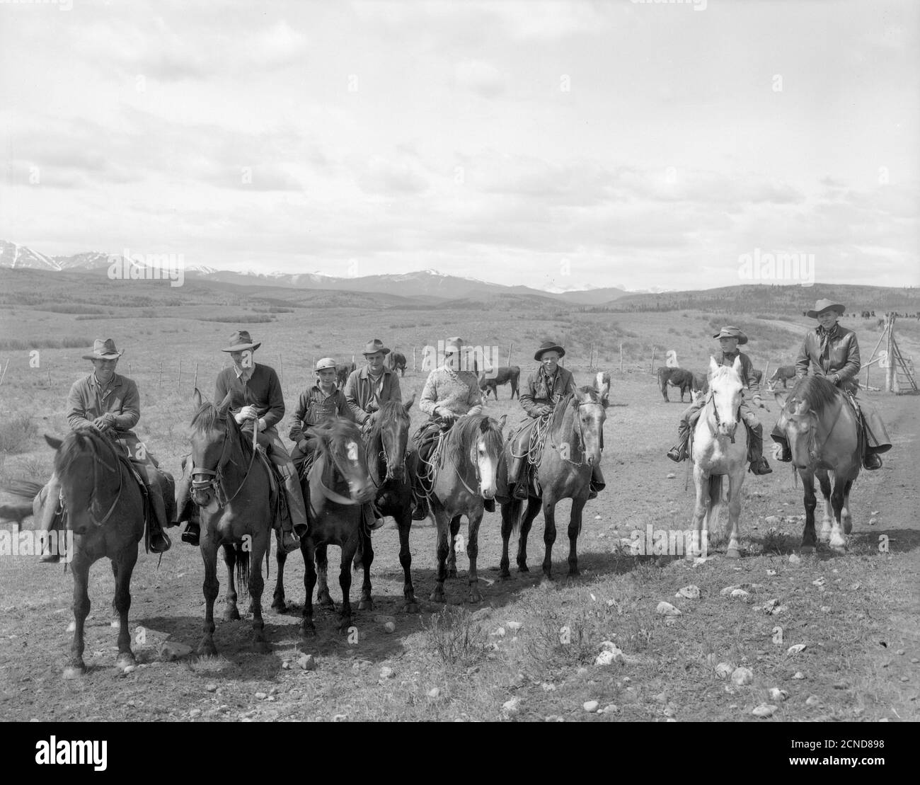 1940s cattle ranch hi-res stock photography and images - Alamy