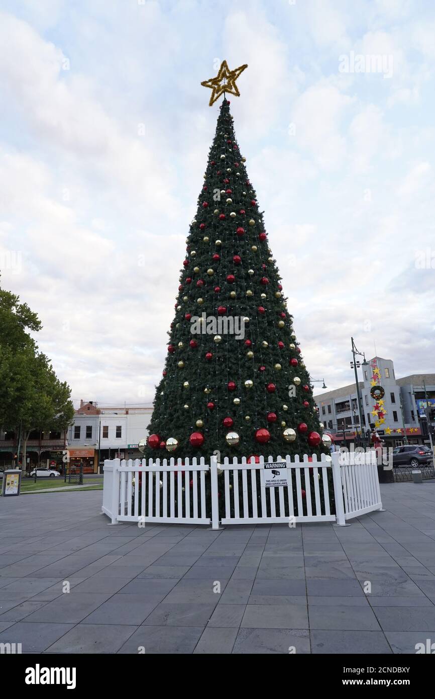 Tree celebrating Christmas day in Australia Stock Photo - Alamy