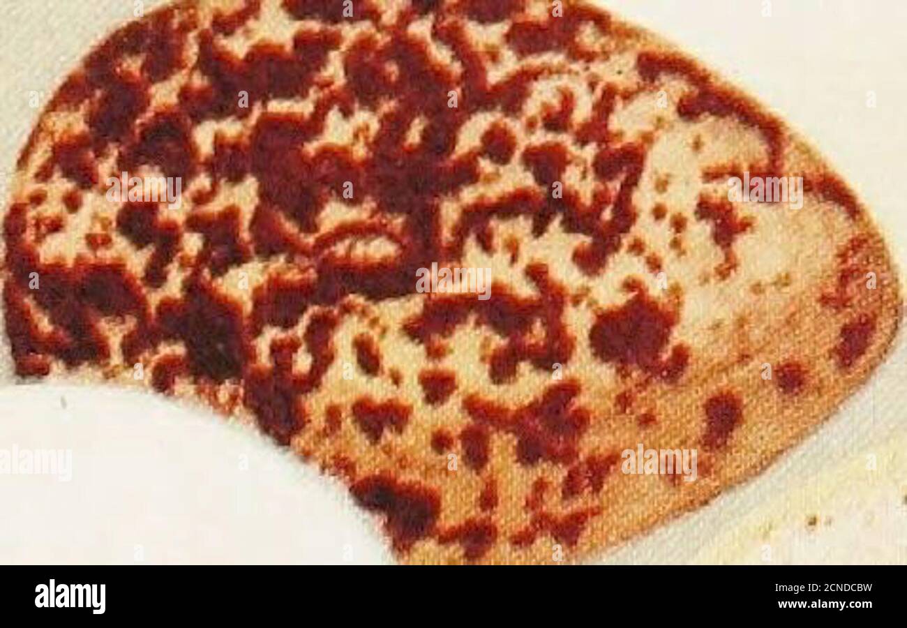 . British birds & their eggs : with a new method of identification . 10 ...