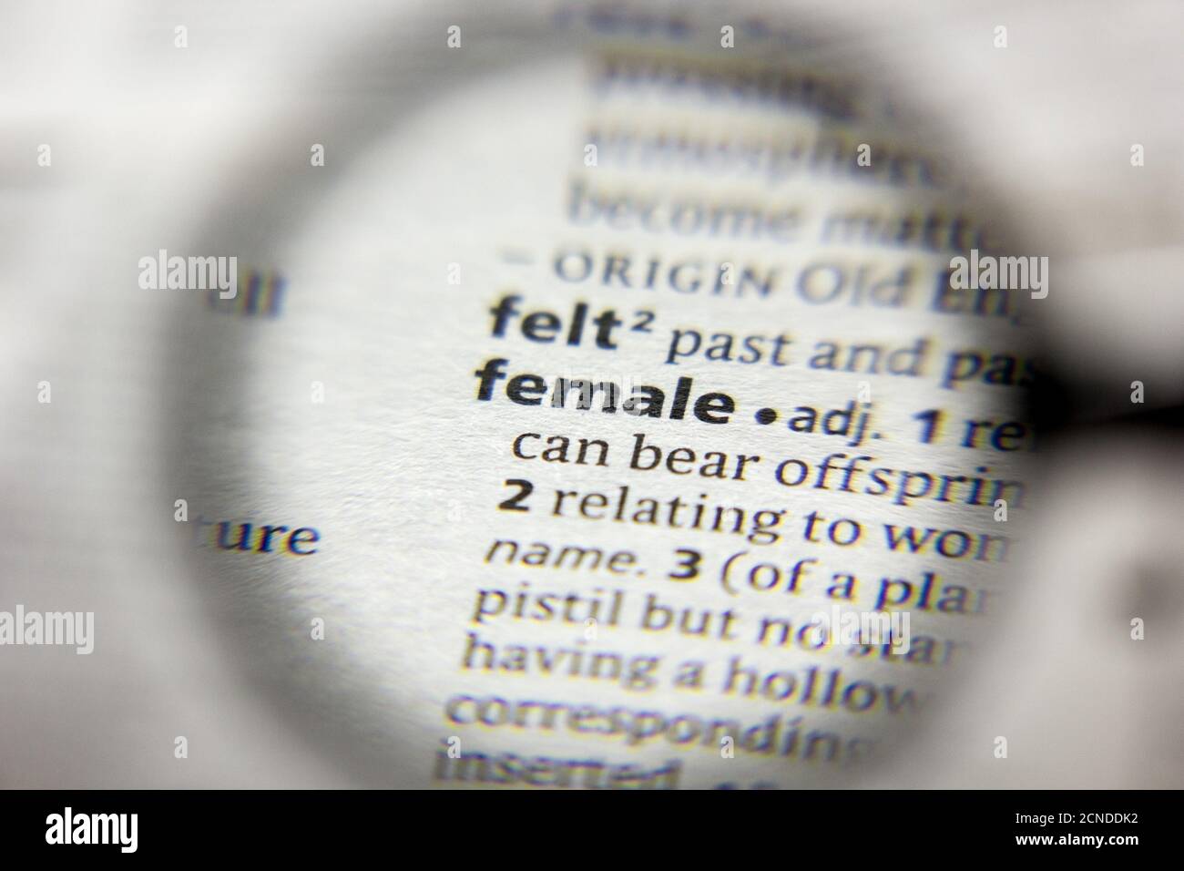 Female word in dictionary hi-res stock photography and images - Alamy