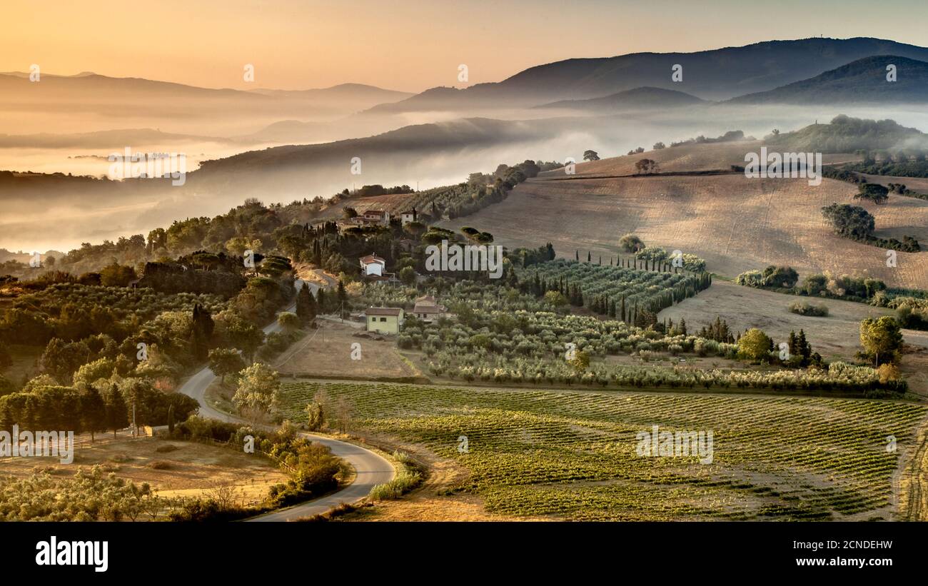 Tuscany Village Landscape scene near Florence on a Foggy Morning, Italy ...
