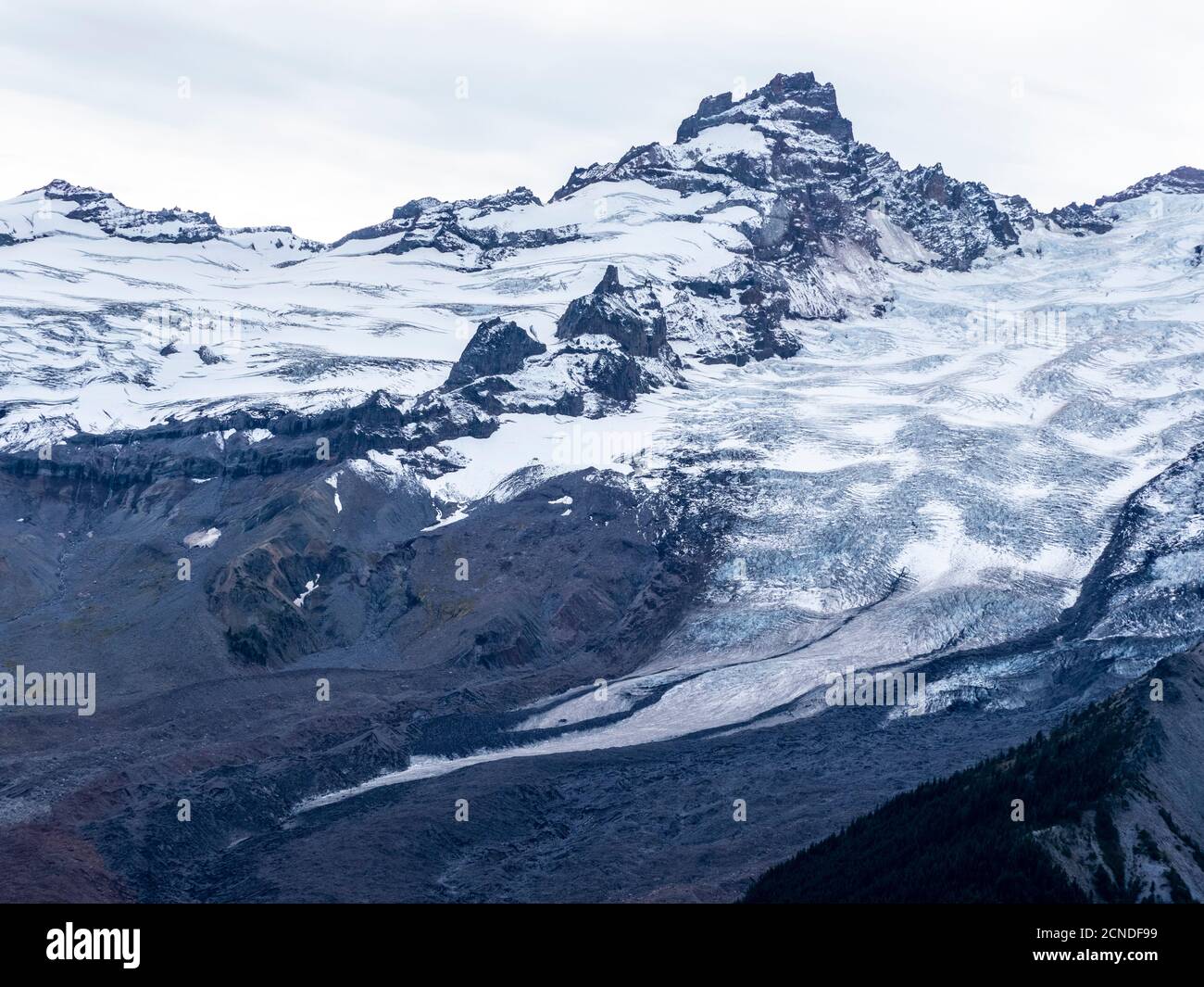 Early light on Mount Rainier from the Burroughs Mountain Trail, Mount ...
