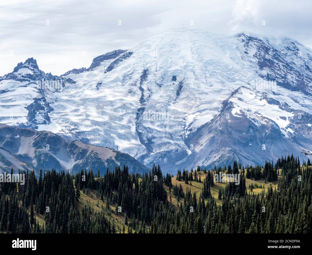Early light on Mount Rainier from the Burroughs Mountain Trail, Mount ...