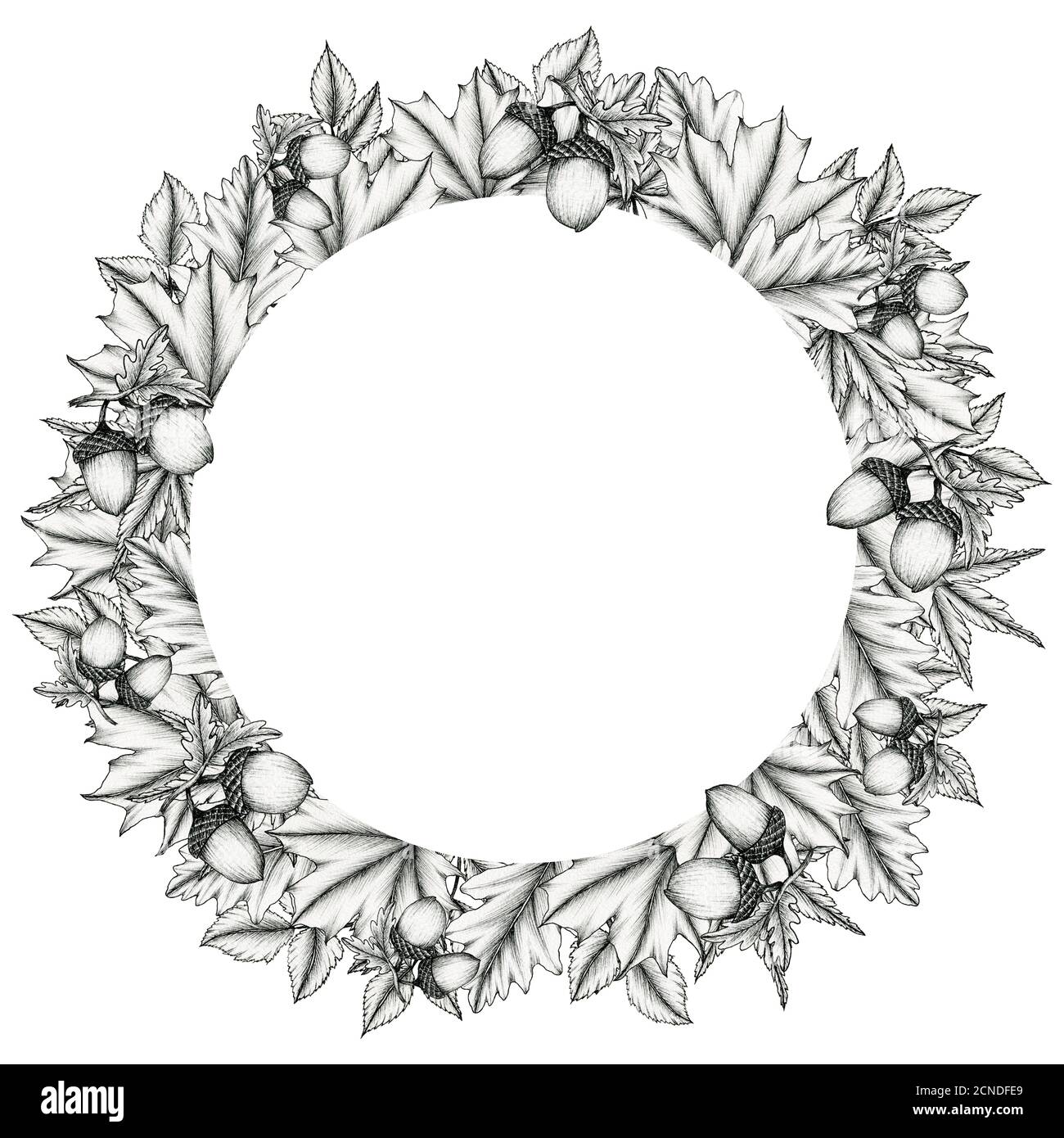 Maple wreath hi-res stock photography and images - Alamy
