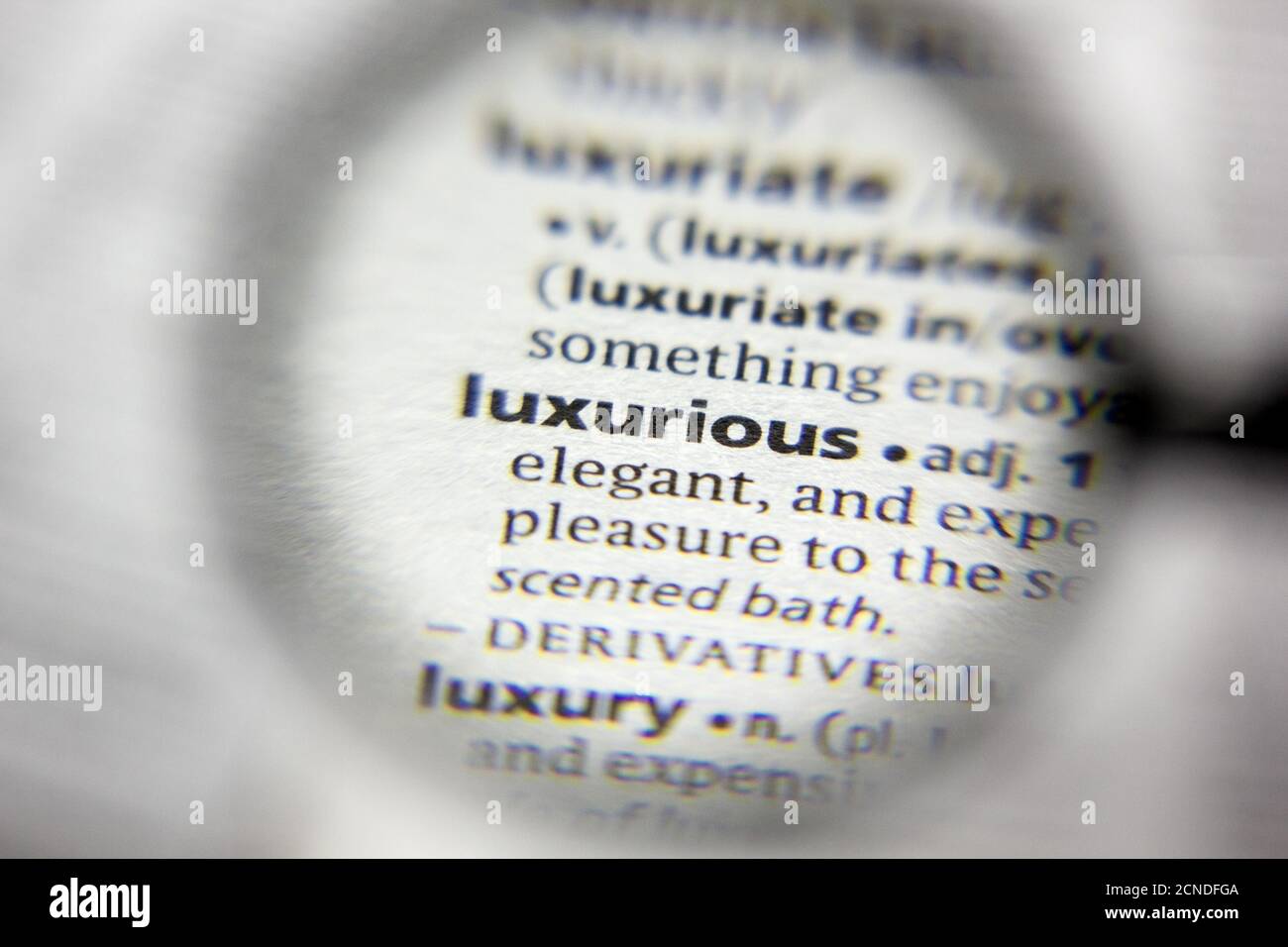 The word or phrase Luxurious in a dictionary Stock Photo - Alamy