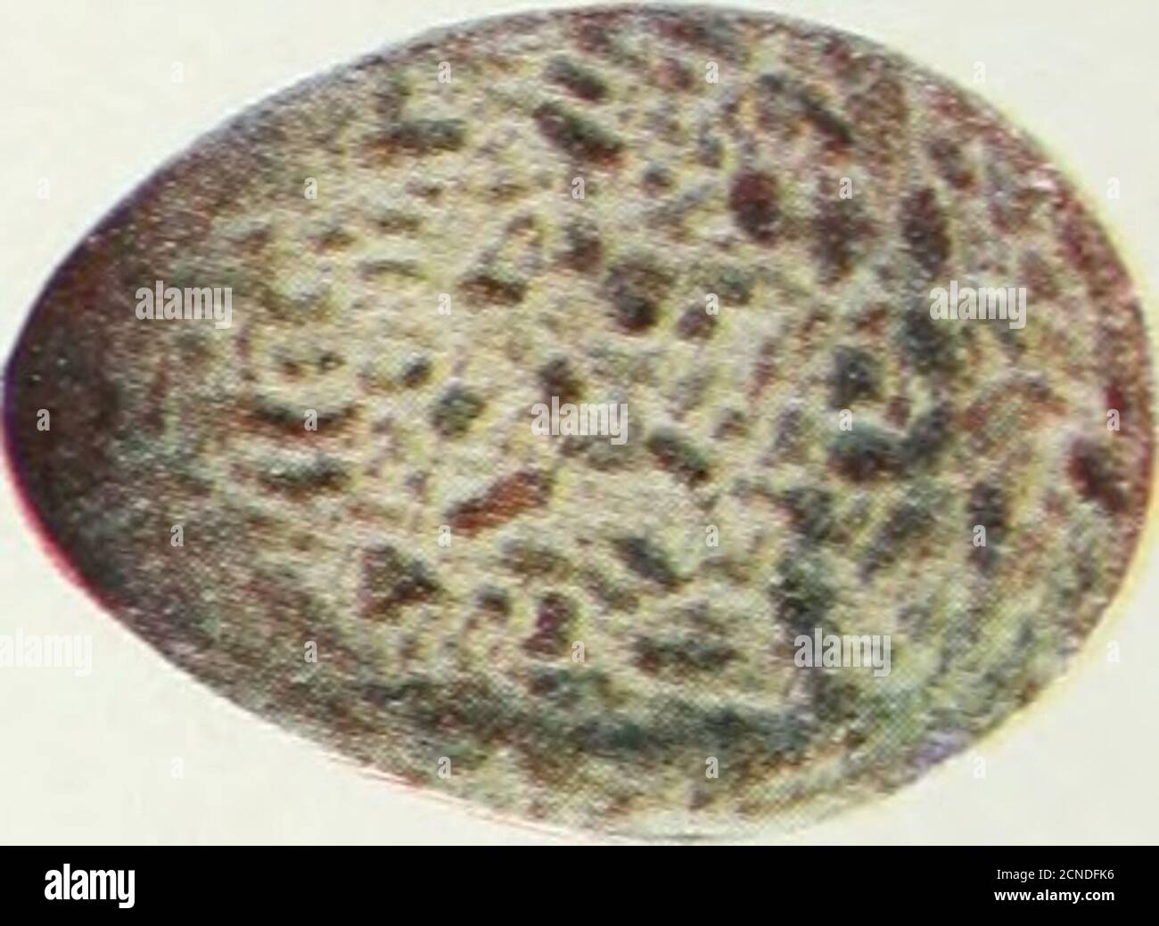 . The birds of the British Isles and their eggs . f^ c v^f .:^. Reed-Bu ...