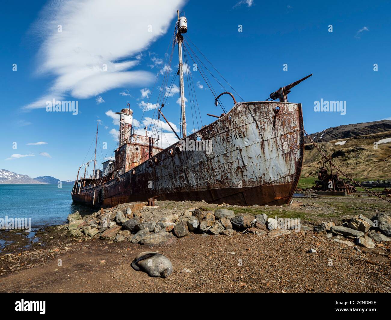 Rusting catcher boat at the abandoned Norwegian whaling station at ...