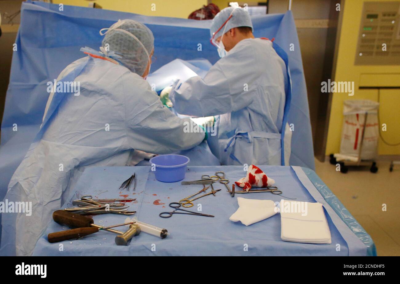 Collar bone hi-res stock photography and images - Alamy