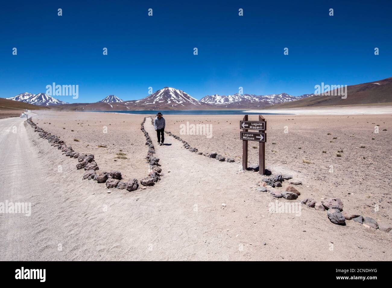 Tourist on the path to Laguna Miscanti, a brackish lake at an altitude ...